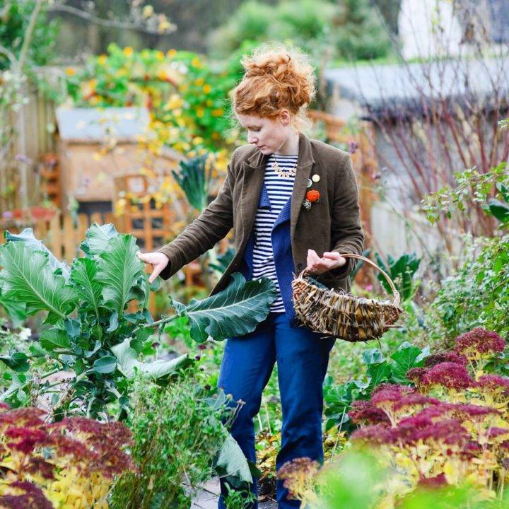 10 Reasons Why Foraging Is Good For You - Marvellous Mrs P - Lifestyle ...